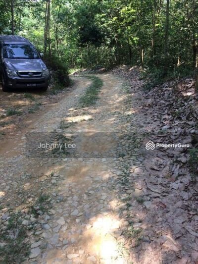 Karak Durian Land – Jandabaik